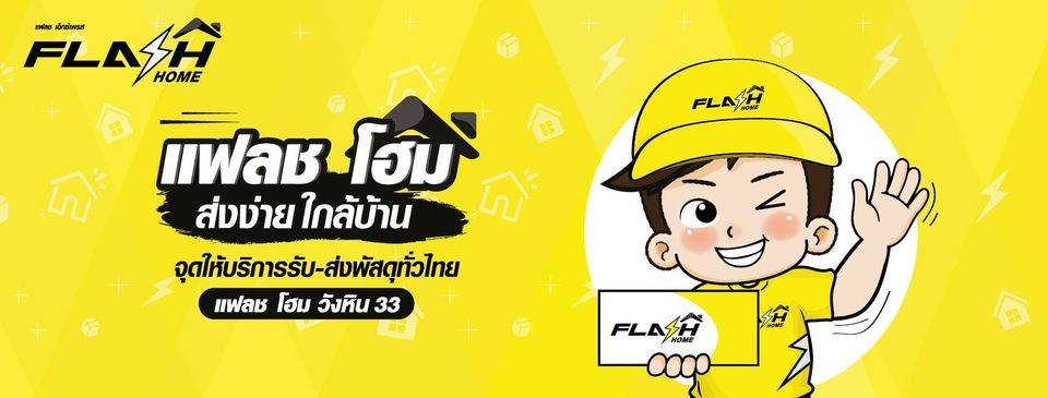 flash home logo vector